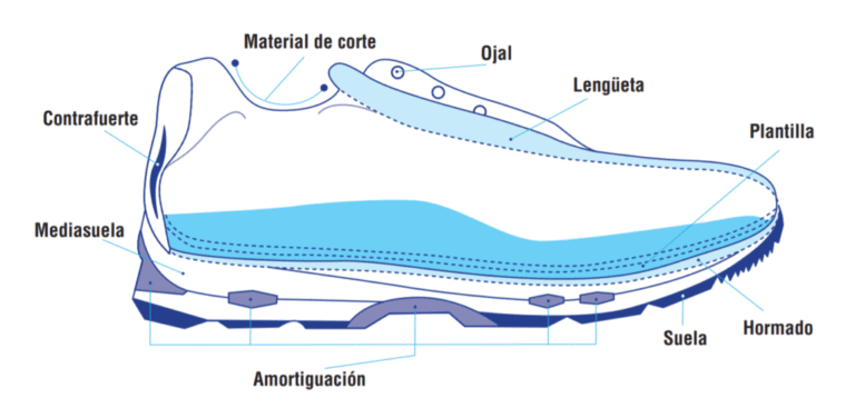 Las partes del calzado deportivo y sus funciones | Podología