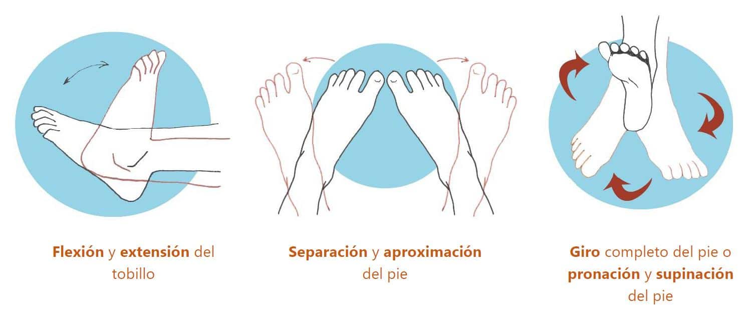 Ejercicios de tobillo tras un esguince - Rehabilitación | Podología JVG